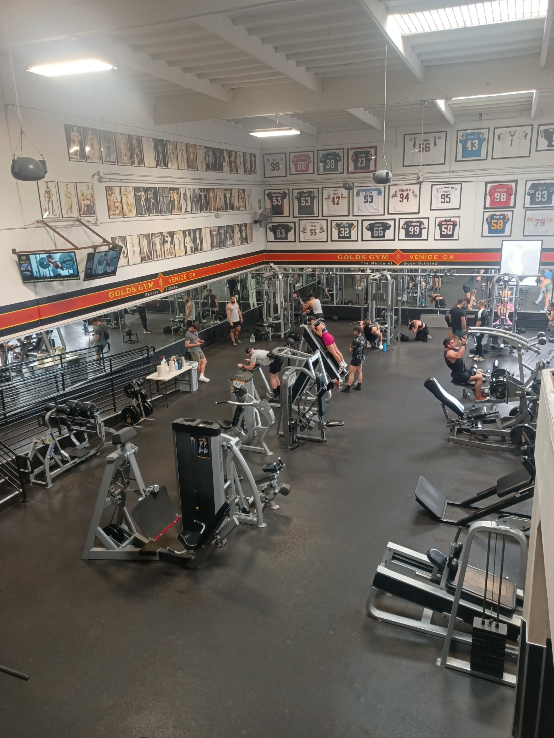 Mecca of Bodybuilding!! Gold’s Gym Venice Beach - fitravelife.com
