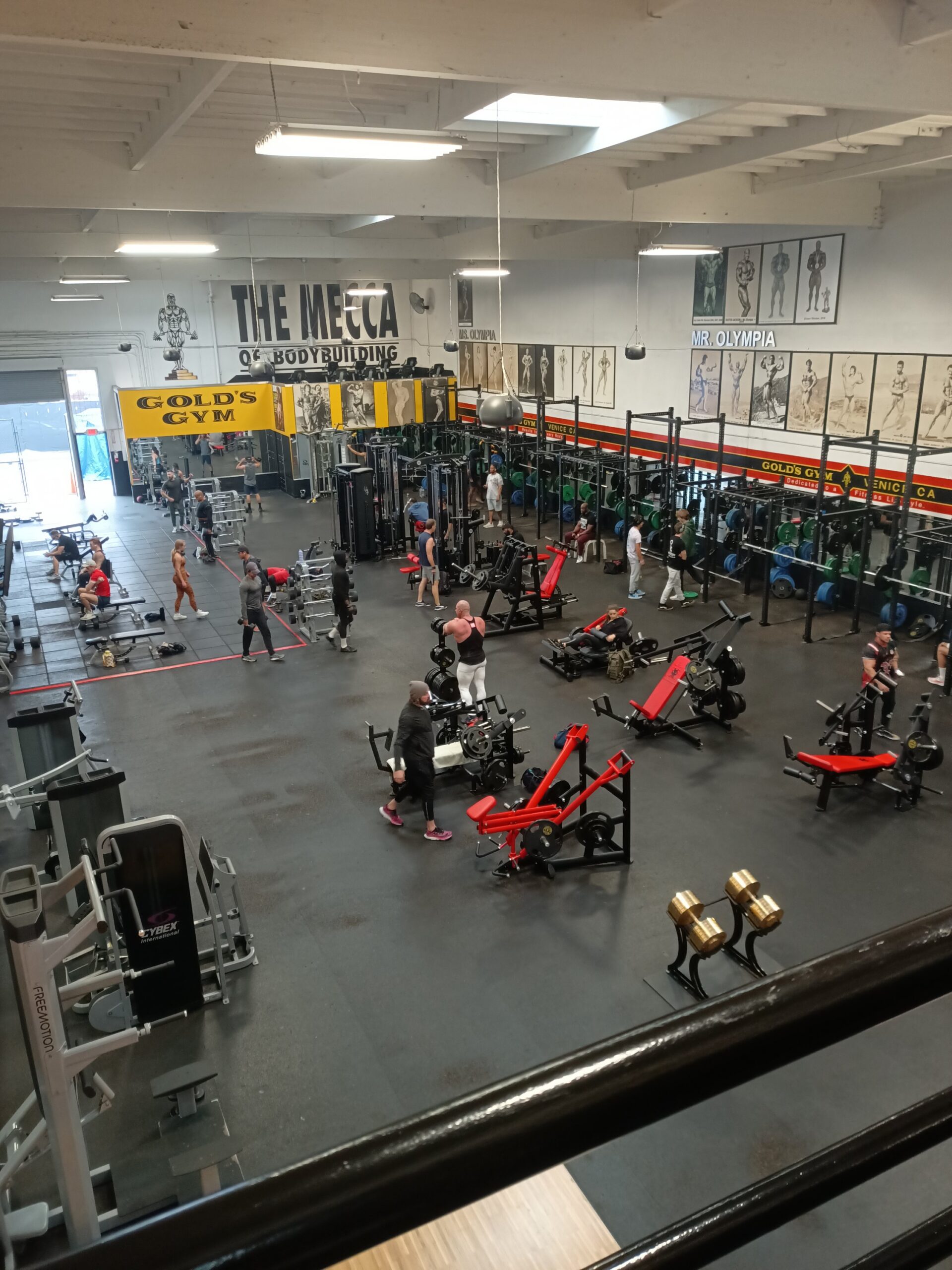 Mecca of Bodybuilding!! Gold’s Gym Venice Beach - fitravelife.com